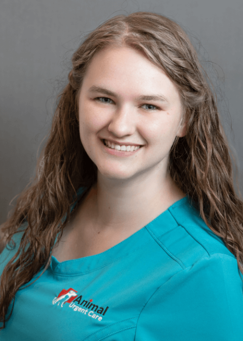 Veterinarian in Crown Point, IN 46307 | Animal Urgent Care